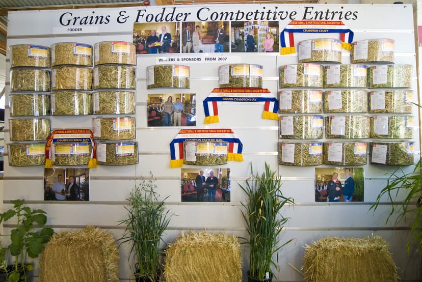 Grains & Fodder | Royal Adelaide Show
